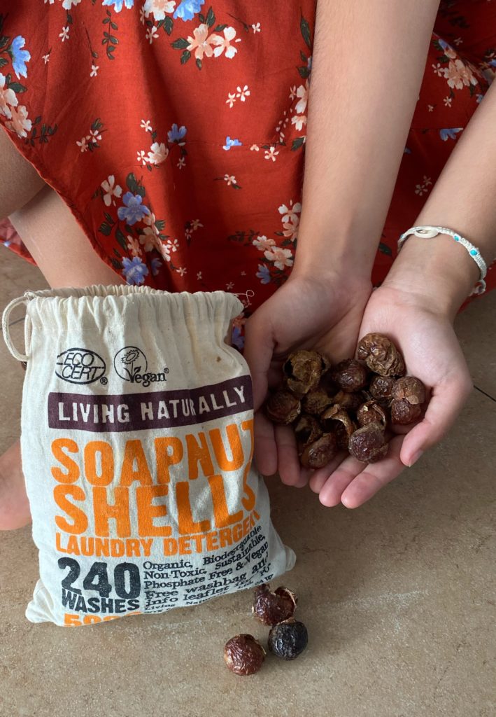 Soap Nuts What Are They And What Is Their Purpose Travelling To The 